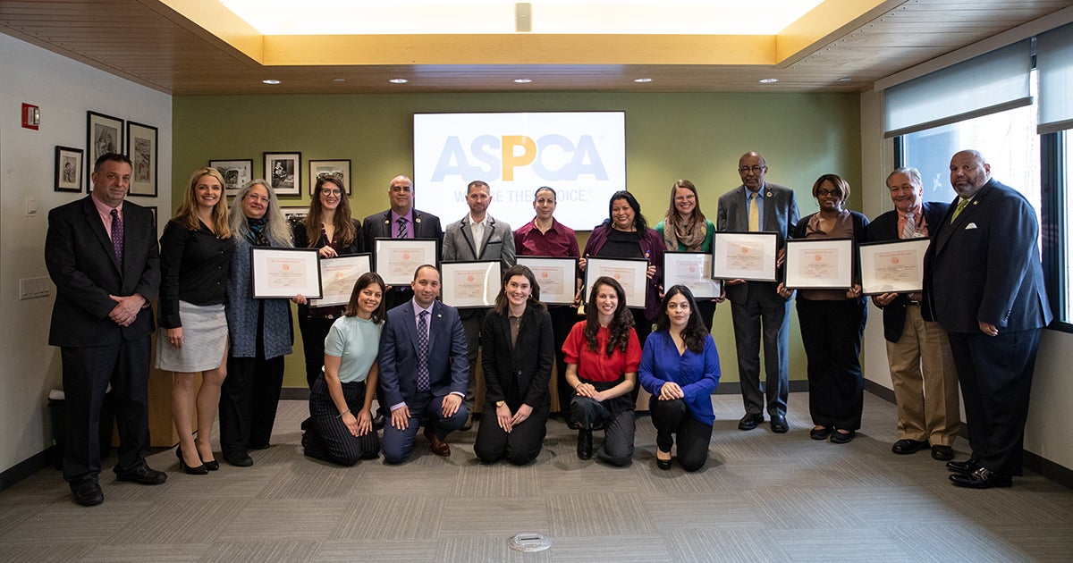 NYC “Heroes in Human Services” Honored for Their Dedication to Animals ...