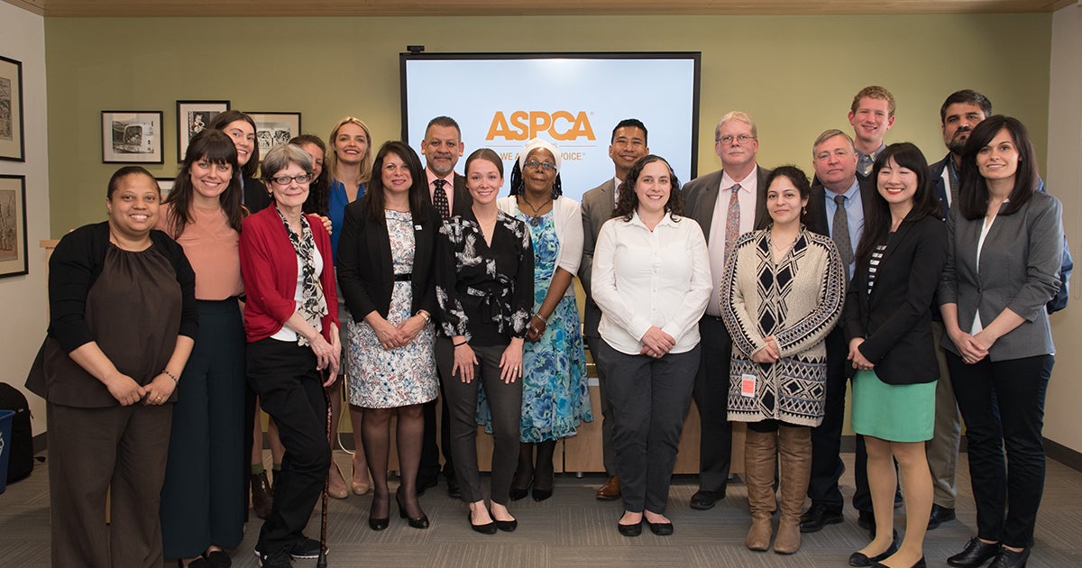 ASPCA Honors NYC “Heroes in Human Services” for Their Dedication to ...