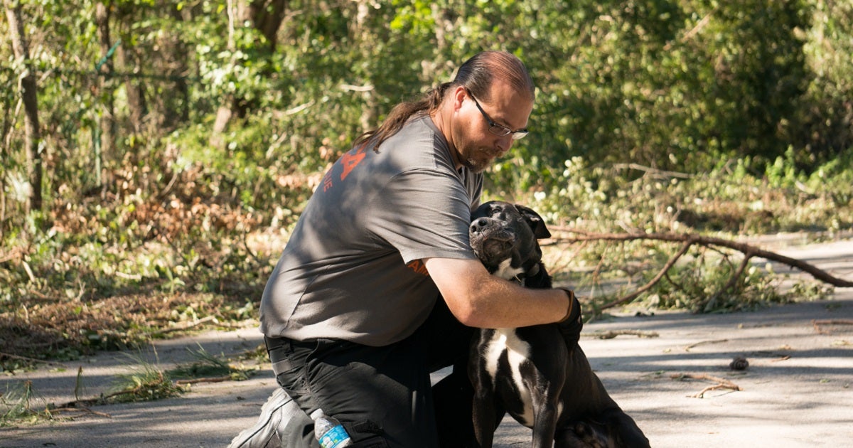 Exclusive Photos of ASPCA Assistance in Hurricane Matthew | ASPCA