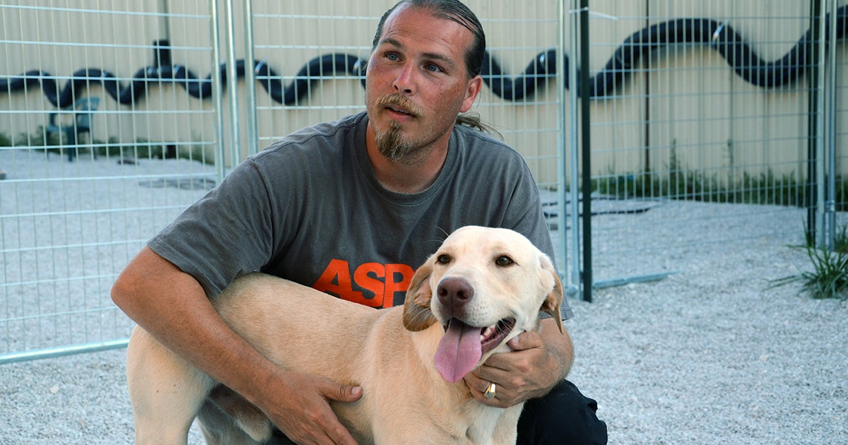 How the ASPCA’s Response to a Devastating Tornado Helped Shape Our ...