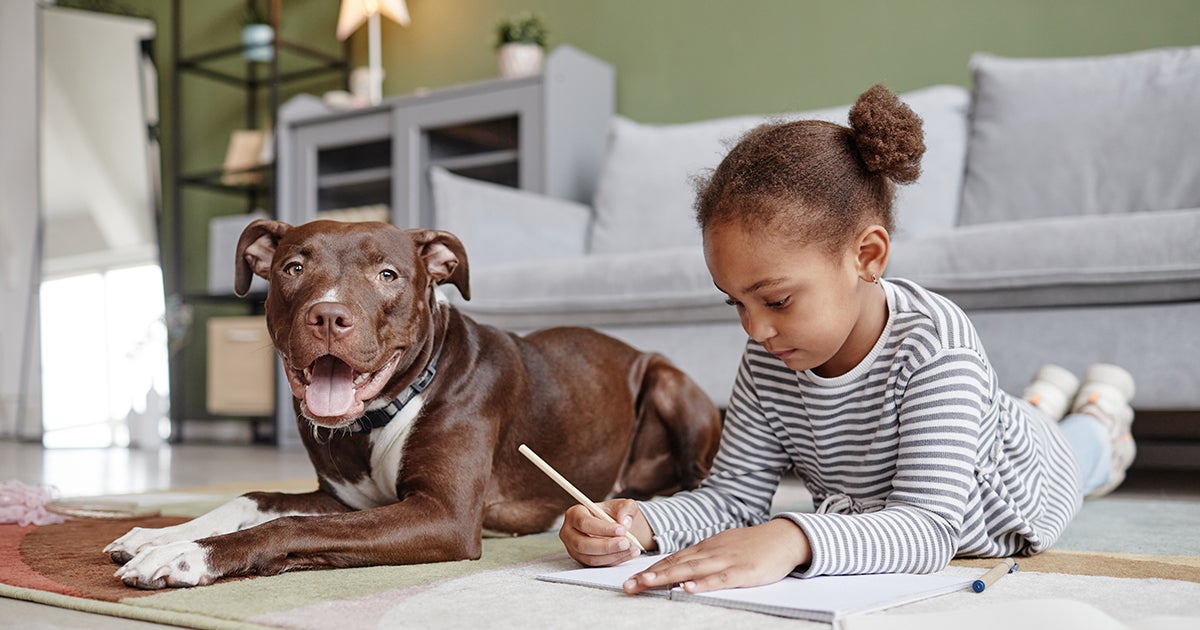 11 Ways You Helped the ASPCA Improve Laws for Animals in 2022 | ASPCA