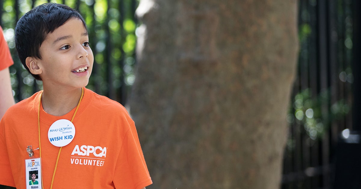 Mateo’s Wish to Make a Difference: The ASPCA and Make-A-Wish Bring One Boy’s Dream to Life | ASPCA