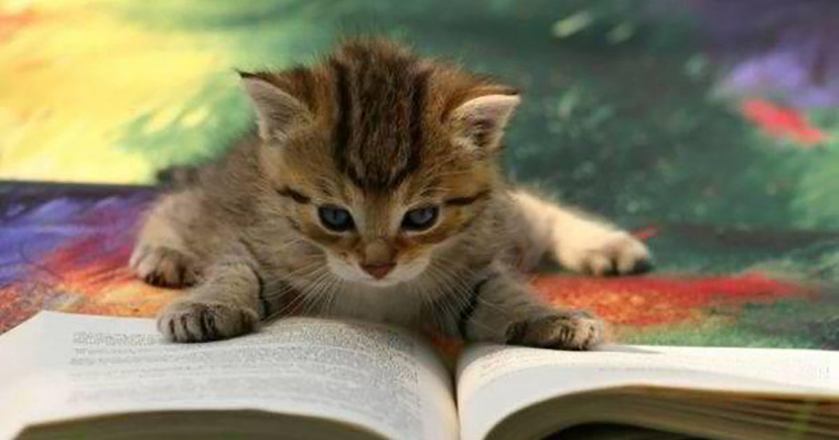 Read a Book to Benefit Yourself and a Furry Friend! | ASPCA