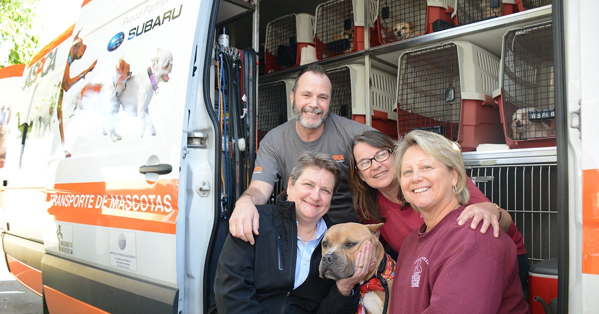 ASPCA on the West Coast: Relocation Team Transports 1,000th Animal | ASPCA