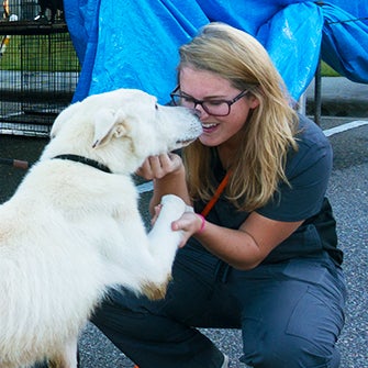 ASPCA Works to Reunite Families with Pets Lost in Floods | ASPCA