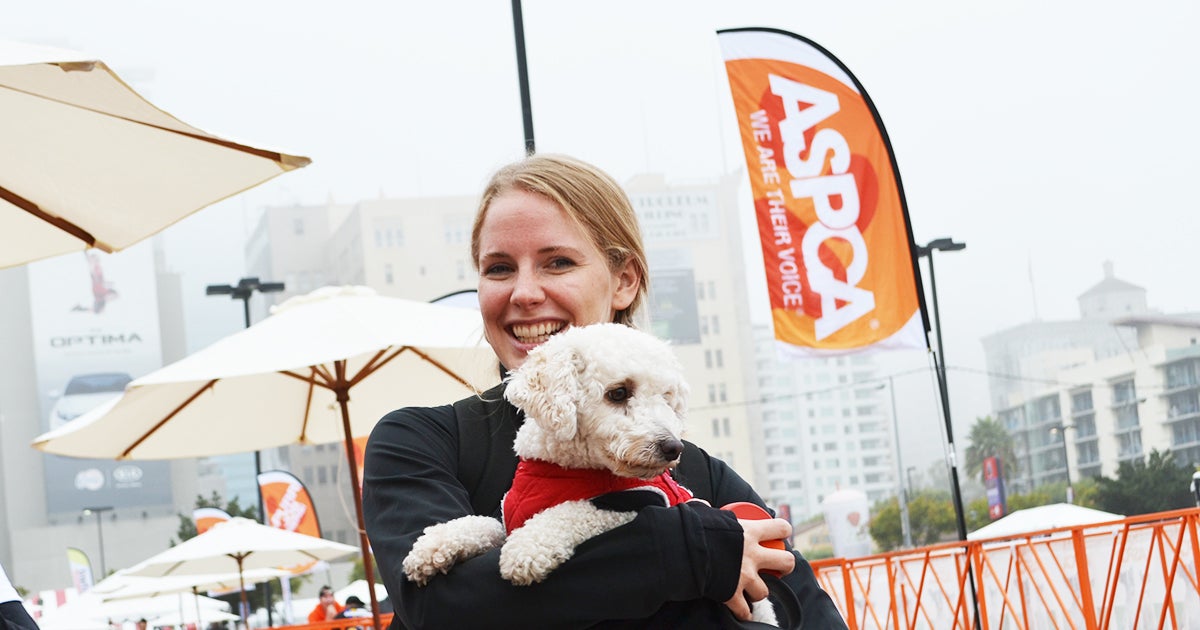 Saving Lives Is Easier than Ever with Team ASPCA | ASPCA
