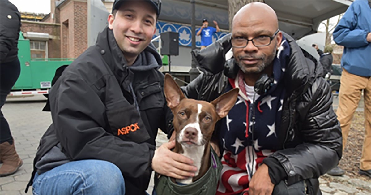 Third Time’s a Charm: ASPCA Donates Dog Coats at Bronx Events | ASPCA