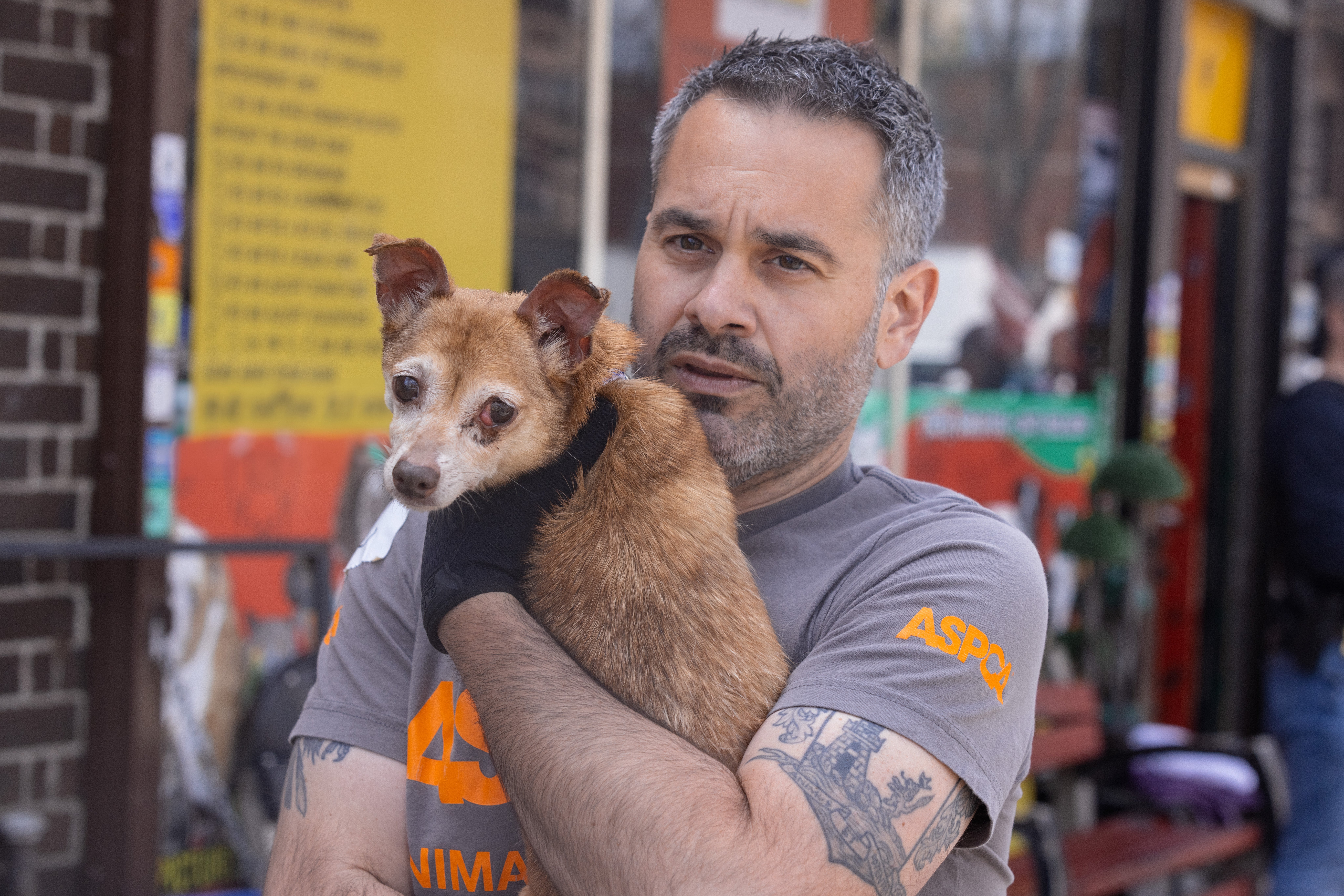 ASPCA Removes Over 30 Animals Living in Poor Conditions in the Bronx ...