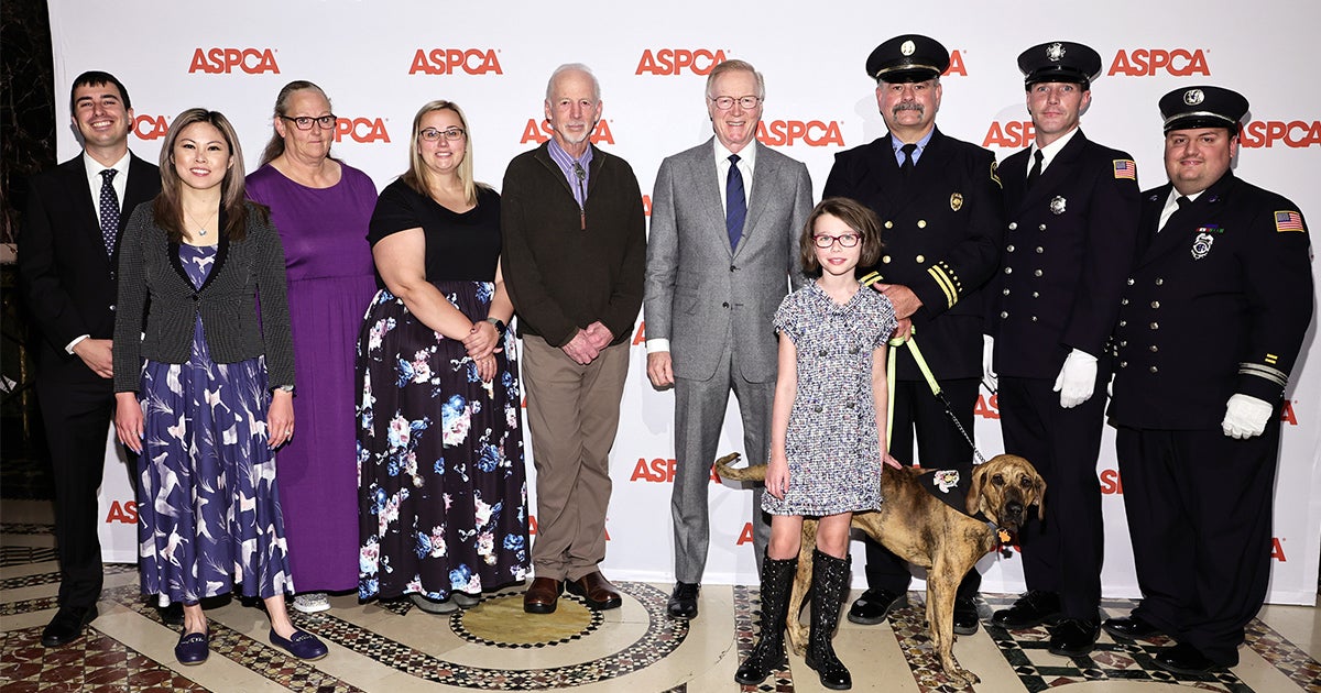 Exceptional Animals and People Honored at the 2022 ASPCA Humane Awards | ASPCA