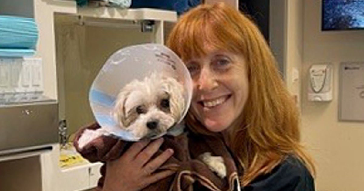 Casper’s Resilient Recovery from a Traumatic Attack | ASPCA