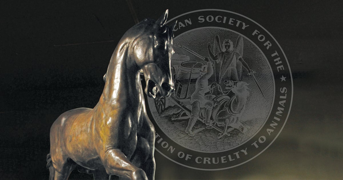 The Law That Launched a Movement for Animals | ASPCA