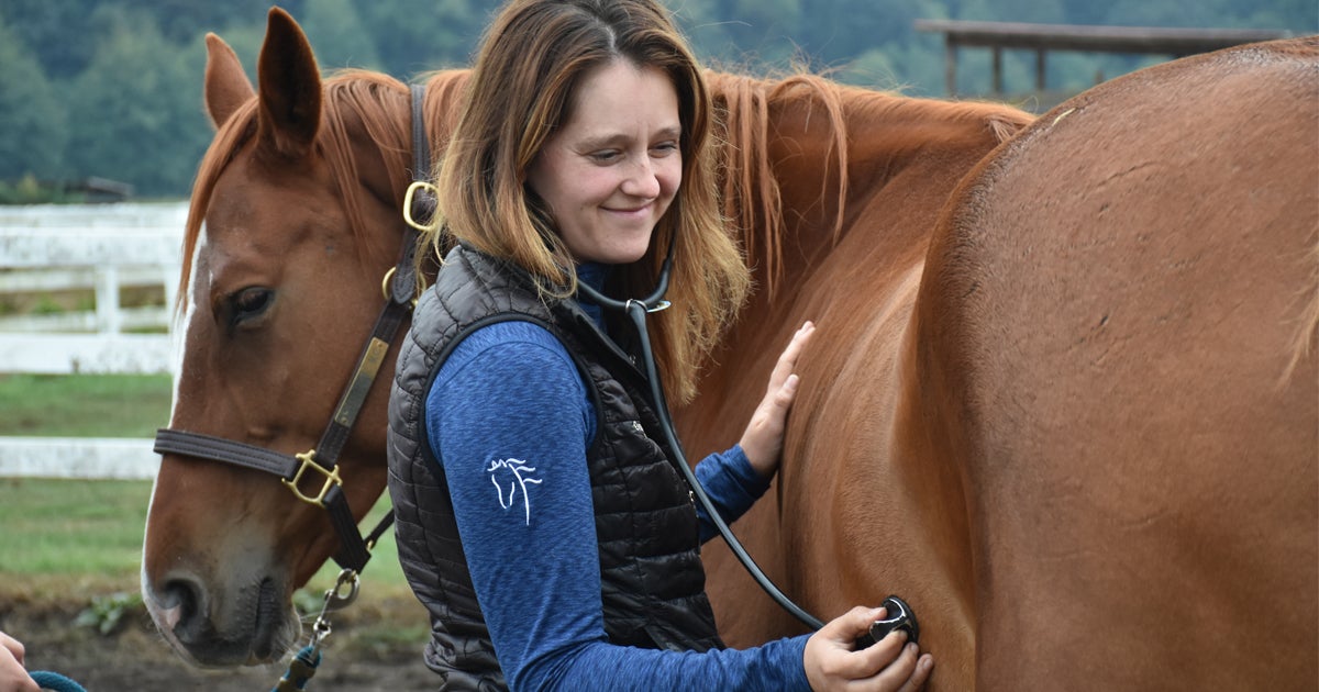 Cracking Horse Code – Part Three | ASPCA