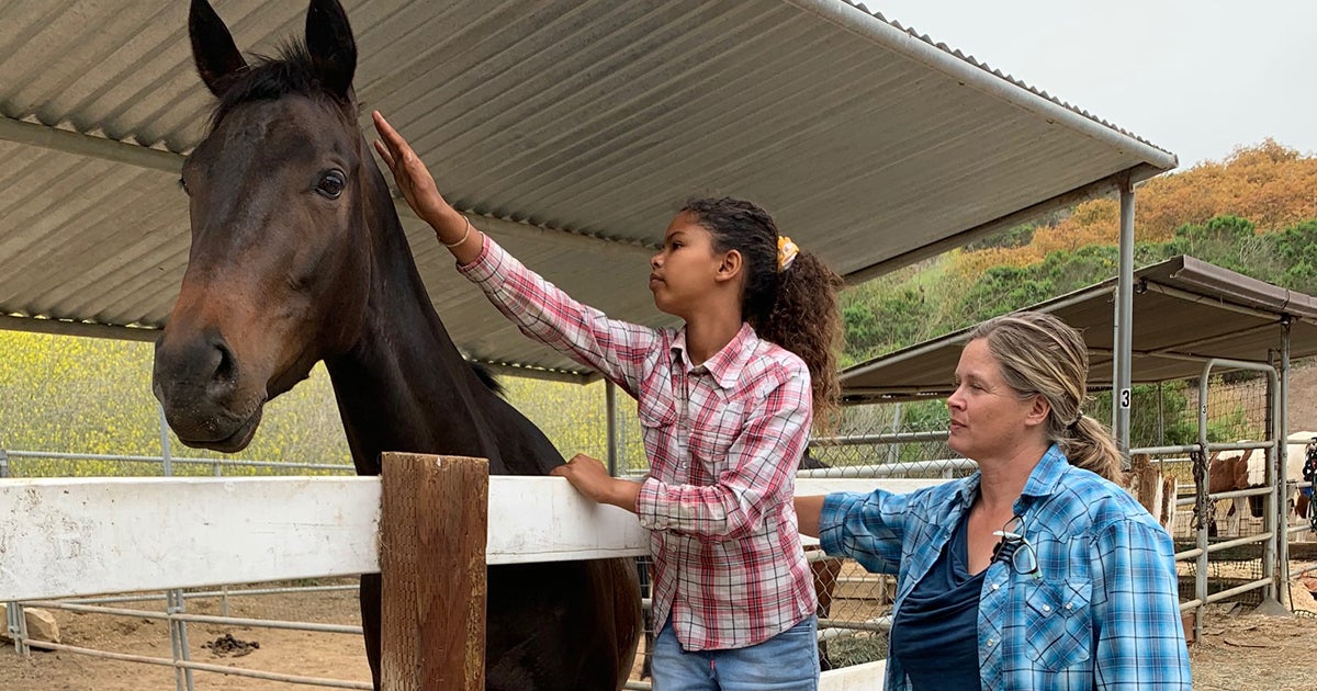 Gilly Finds a Home and Makes a Longtime Dream Come True | ASPCA