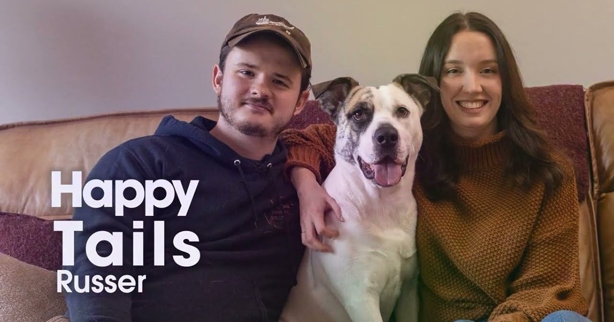 Underdog Russer Helps Fill the Hole in One Couple’s Broken Hearts | ASPCA