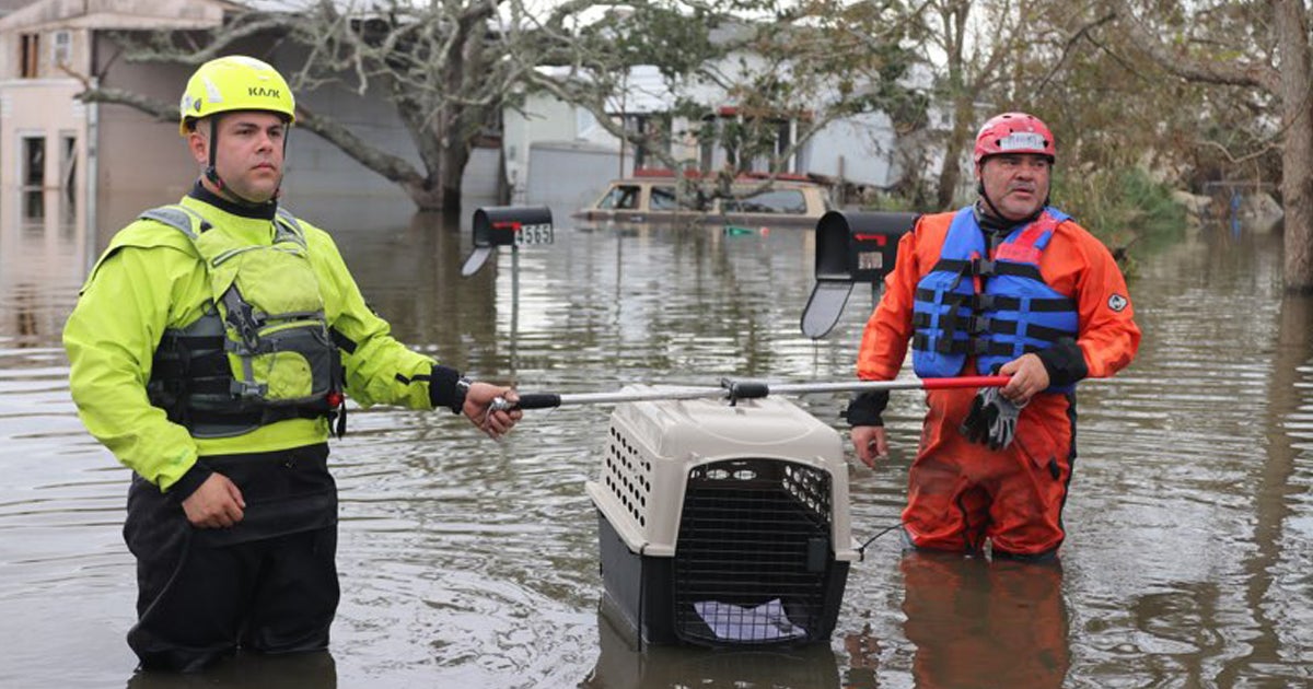 From the Scene: A Look Inside Our Disaster Response Efforts Following ...