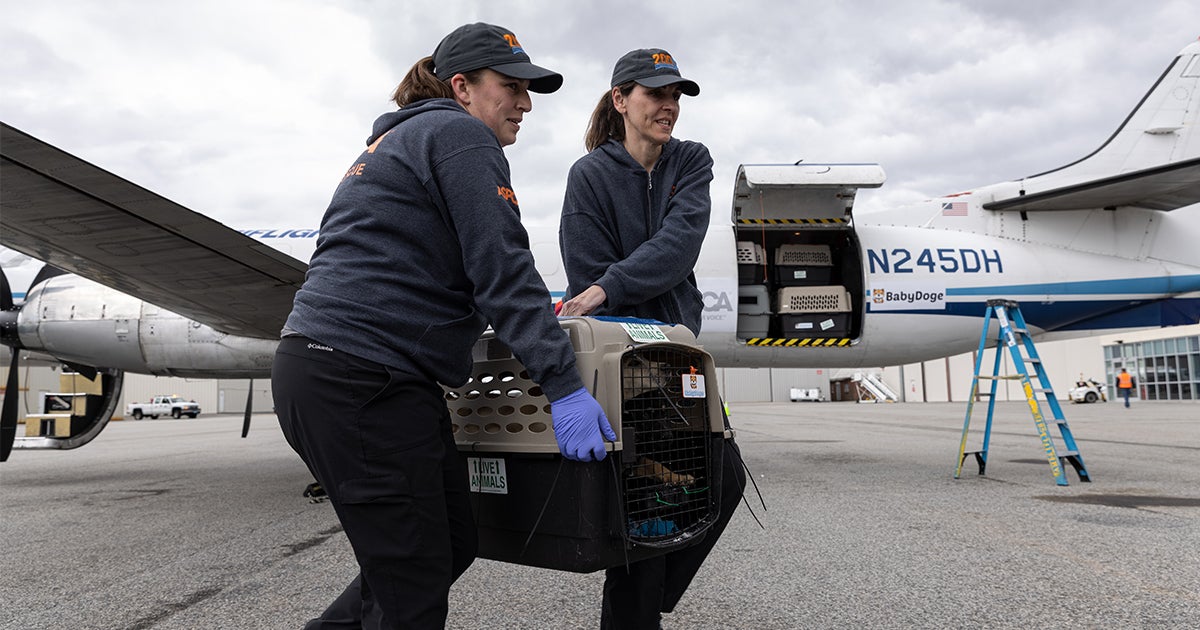 Matt’s Blog: The Lifesaving Results of Animal Relocation | ASPCA