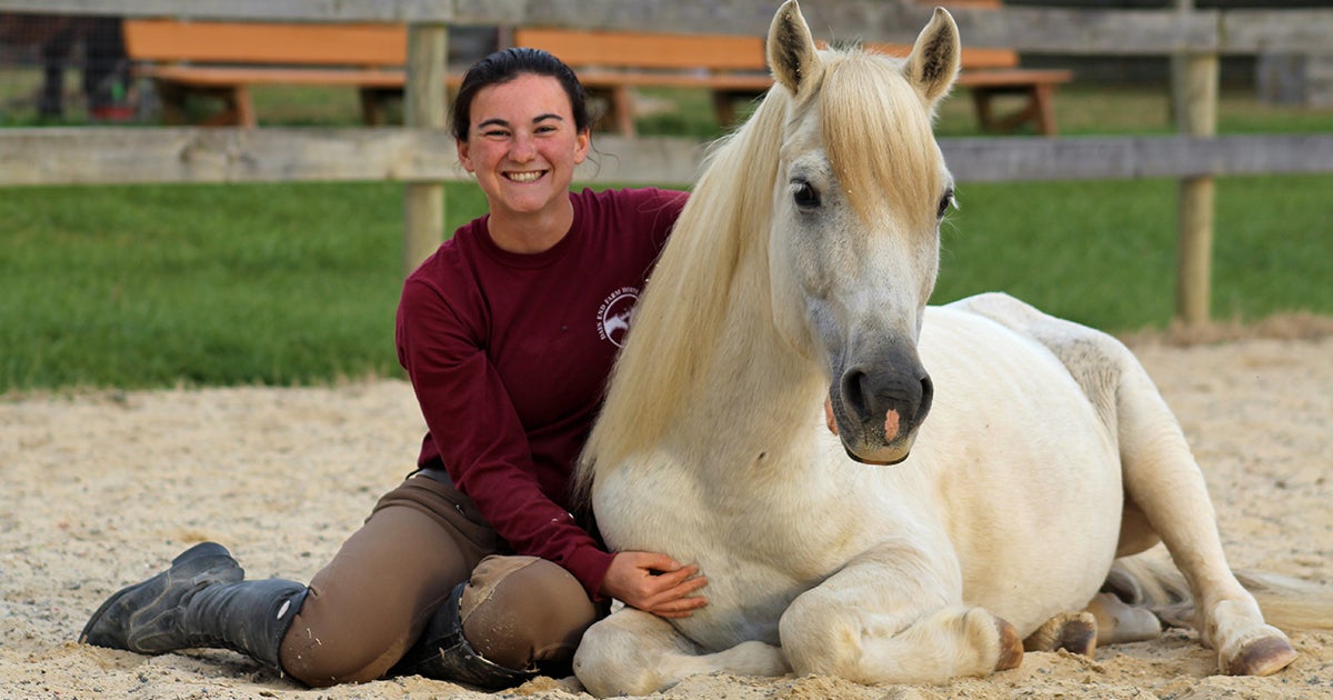 ASPCA Announces Winners of the Fifth Annual Help a Horse Day Contest ...