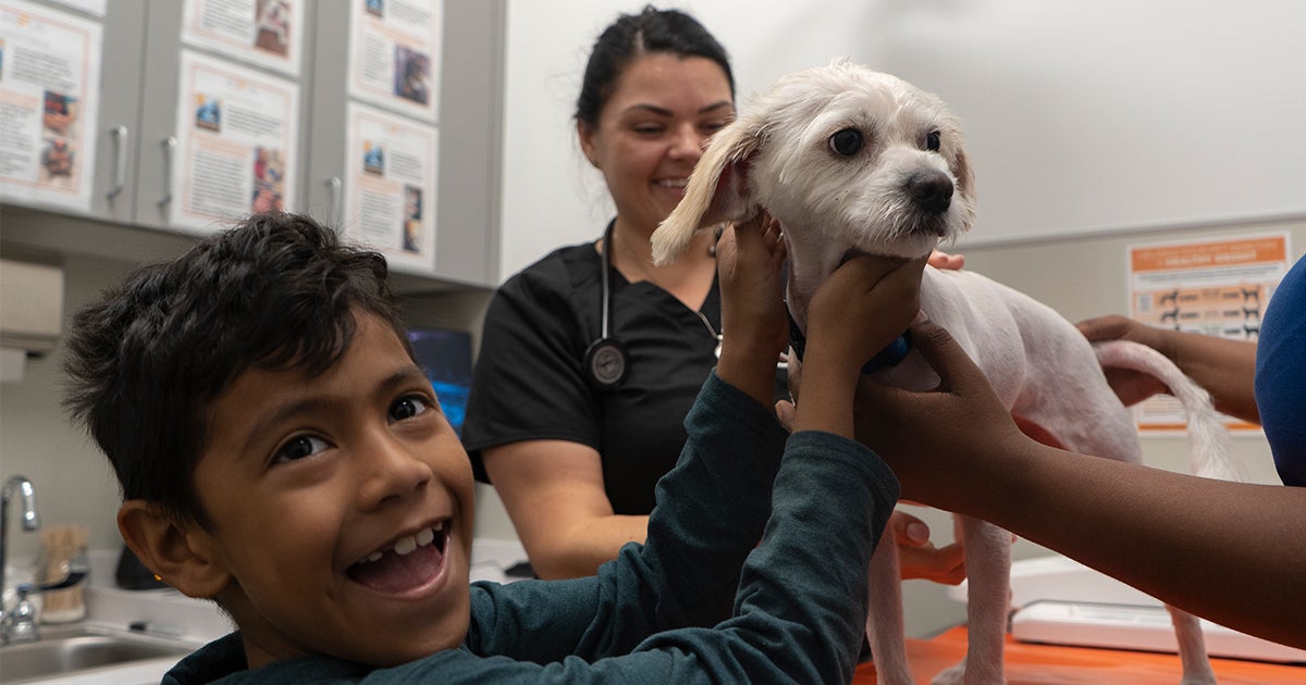 Celebrating Two Years of the ASPCA Community Veterinary Center in Miami ...