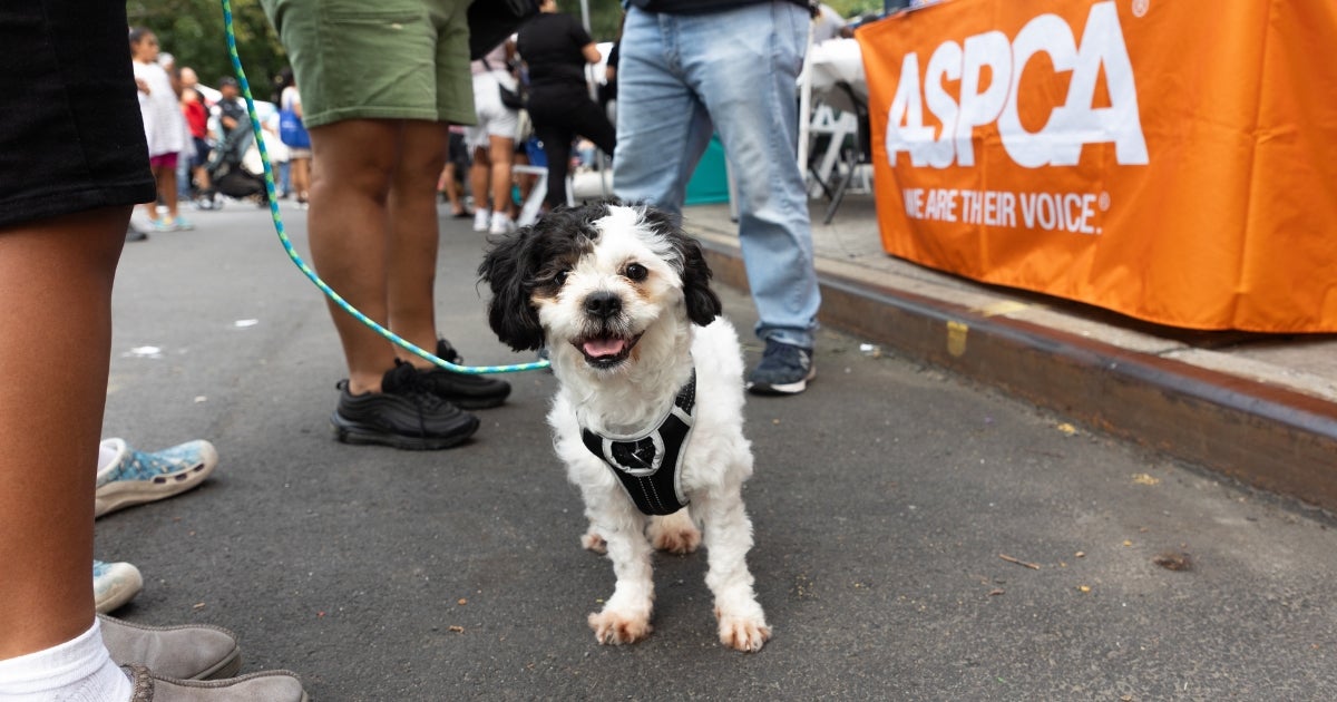 ASPCA Staff and Volunteers Participate in Annual National Night Out ...