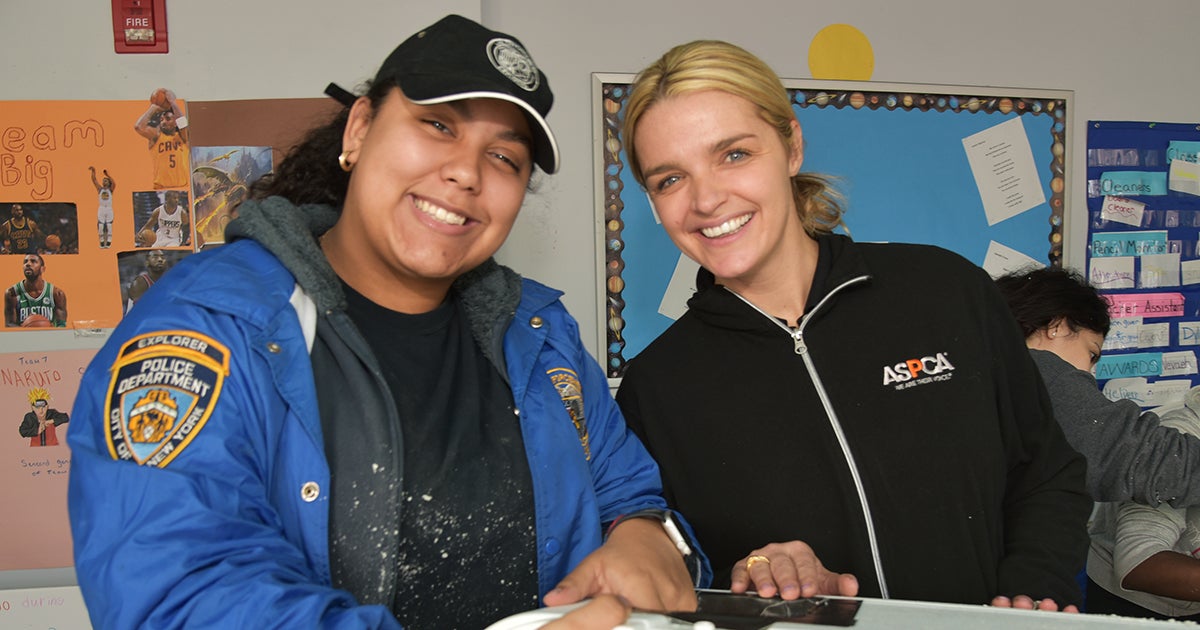 NYPD Explorers Come to the Aid of Community Cats with Help from the ...