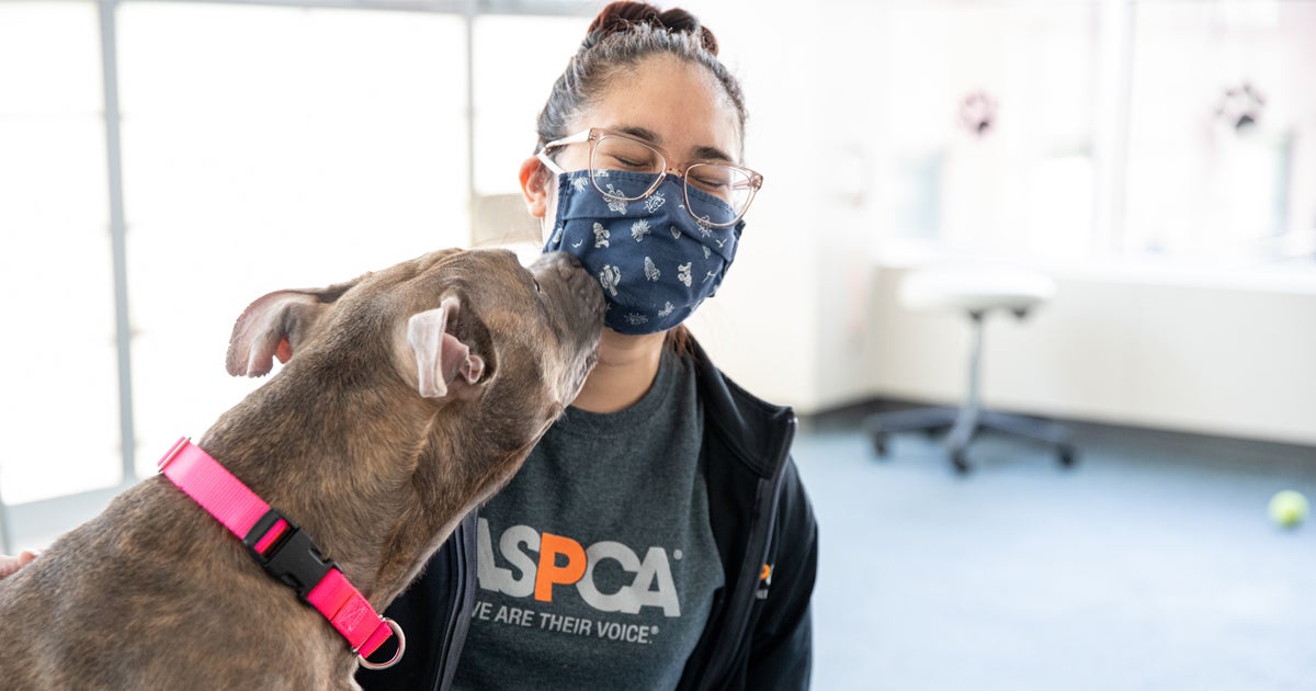 Five Ways You Can Help Animals on Pay It Forward Day | ASPCA