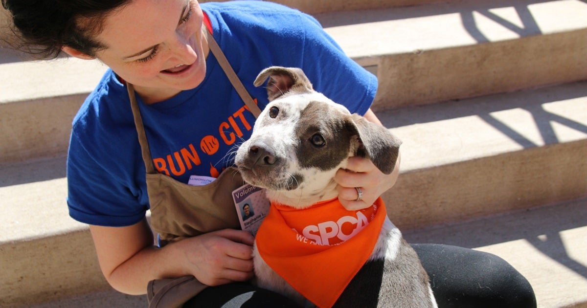 Subaru and the ASPCA’s “Rescue Ride” Program Impacts Over 6,500 Lives ...