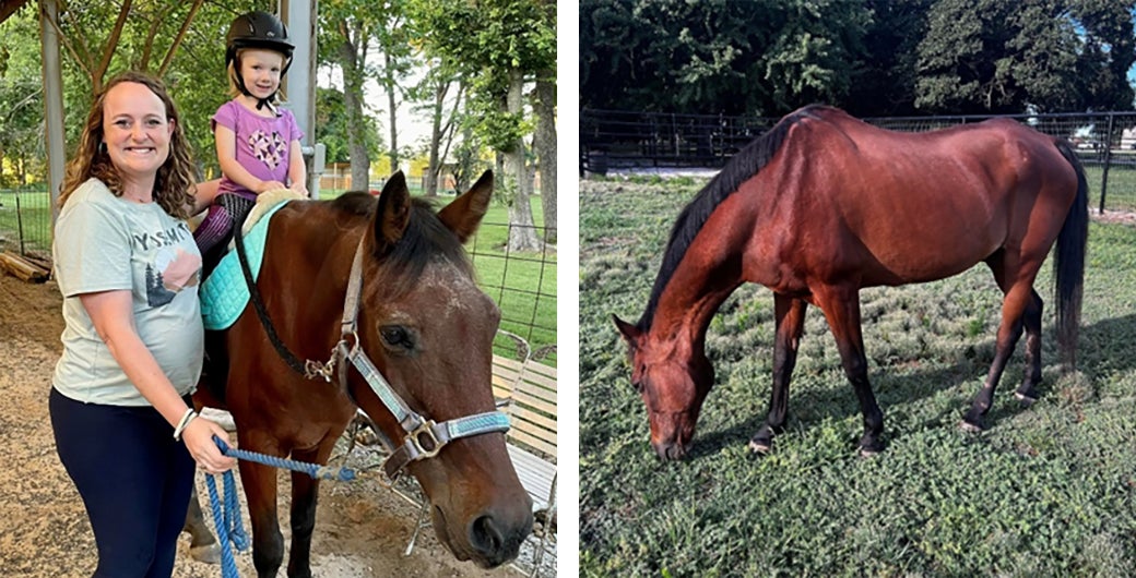 Your Exclusive First Look at the Impact YOU Made in 2023 | ASPCA