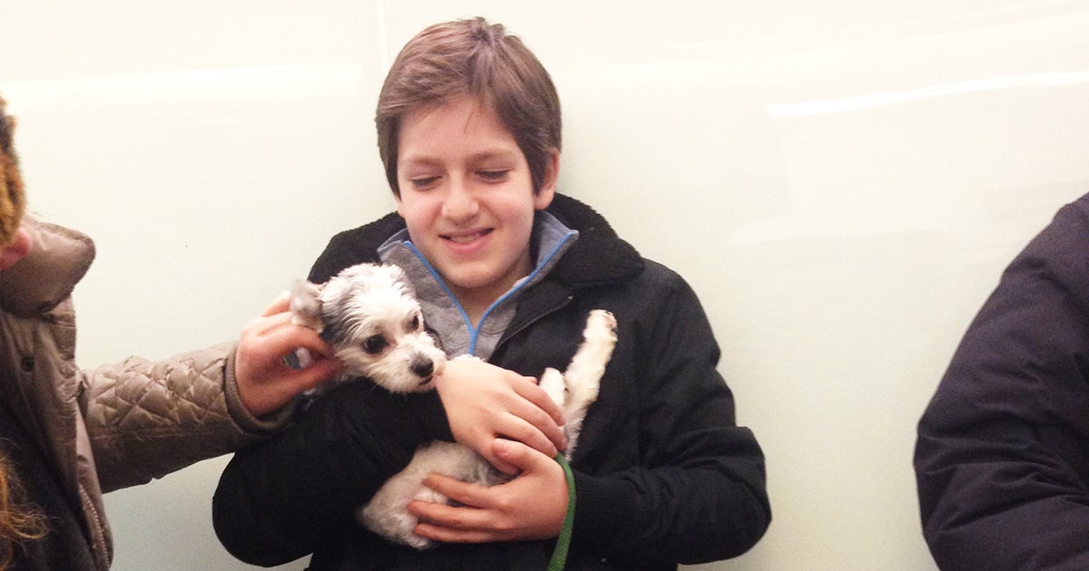 A Boy's Best Friend: Cheerio's Happy Tail | ASPCA