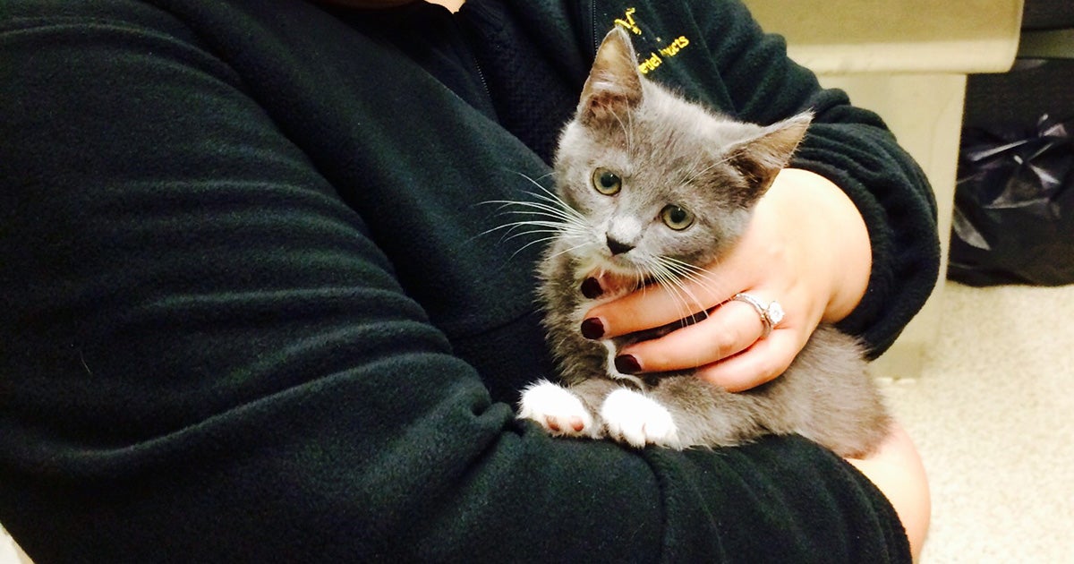 ASPCA Happy Tails: Raising Luna | ASPCA