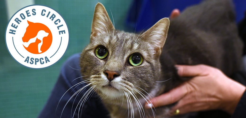 ASPCA Heroes Circle: Major Giving | ASPCA