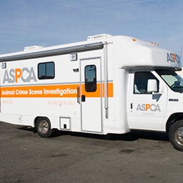 Forensic Investigations | Animal Cruelty Crime Scenes | ASPCA