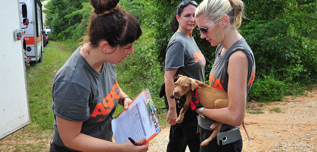 our-response_rescue-work_anatomy-of-a-raid_body-photo-1.jpg | ASPCA