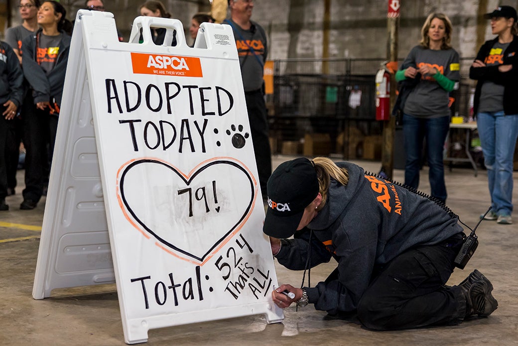 our-response_rescue-work_anatomy-of-a-raid_body-photo-5.jpg | ASPCA