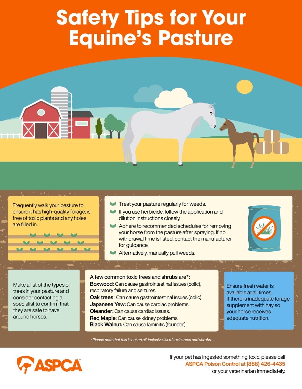 Expert Safety Tips for Your Horse’s Pasture | ASPCA