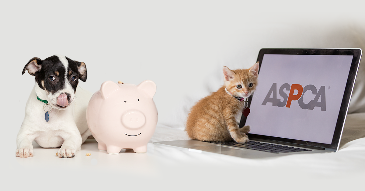 Workplace Giving l Employee Donations l Ways to Give l ASPCA