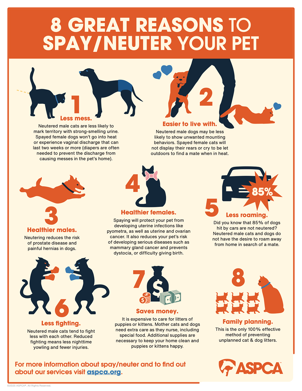 Don’t Wait ’til It’s Too Late: To Prevent Dystocia, Spay Your Female ...