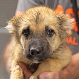 Desktop HTML xPosition: