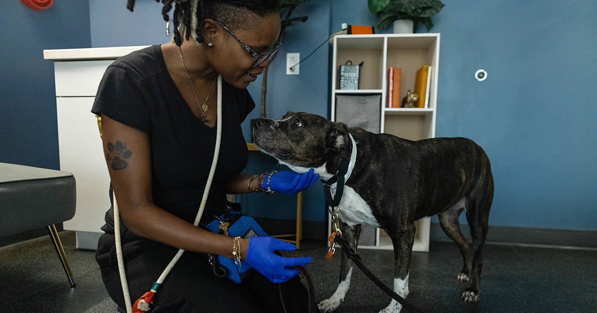 Volunteer at the ASPCA Recovery & Rehabilitation Center | ASPCA