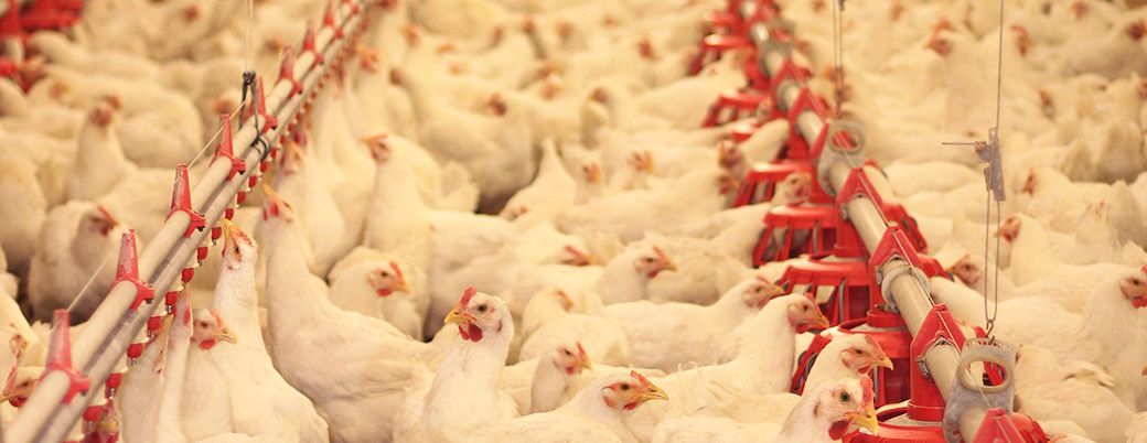 Canon solution menu ex - xolercon