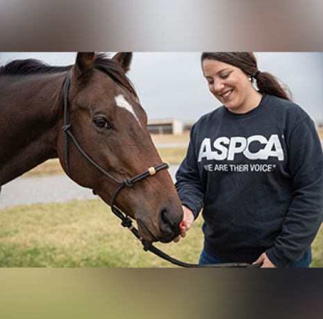 Blog | ASPCA