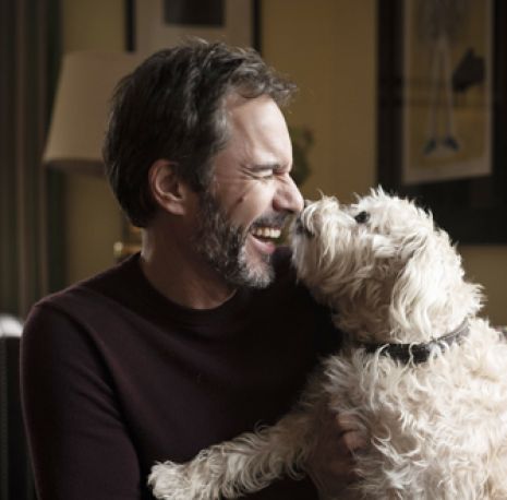 ASPCA | American Society for the Prevention of Cruelty to Animals