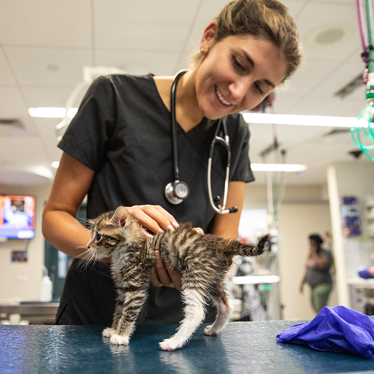 Advocacy Center l Ways to Advocate l Get Involved l ASPCA