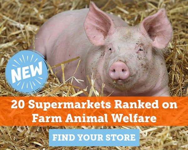 Farm Raised Meat Label