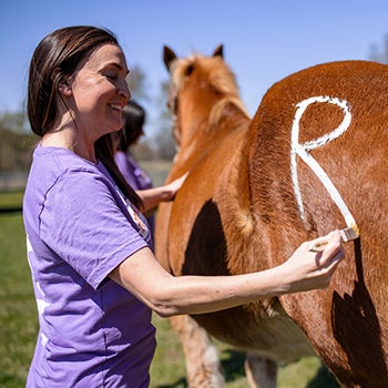 Advancing Horse Welfare | ASPCA