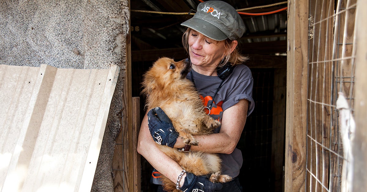 National Field Response Responder l Volunteer l ASPCA