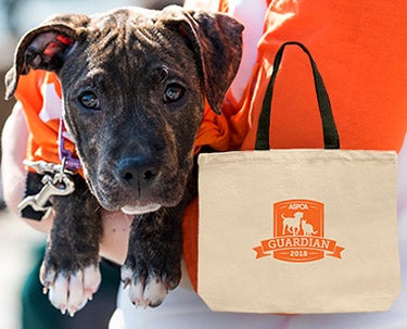 Ways to Give | Donate | Charitable Contributions | ASPCA